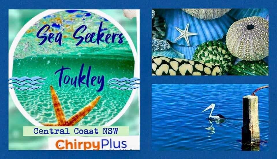 Toukley Sea Seekers - Chirpy Christmas Outing