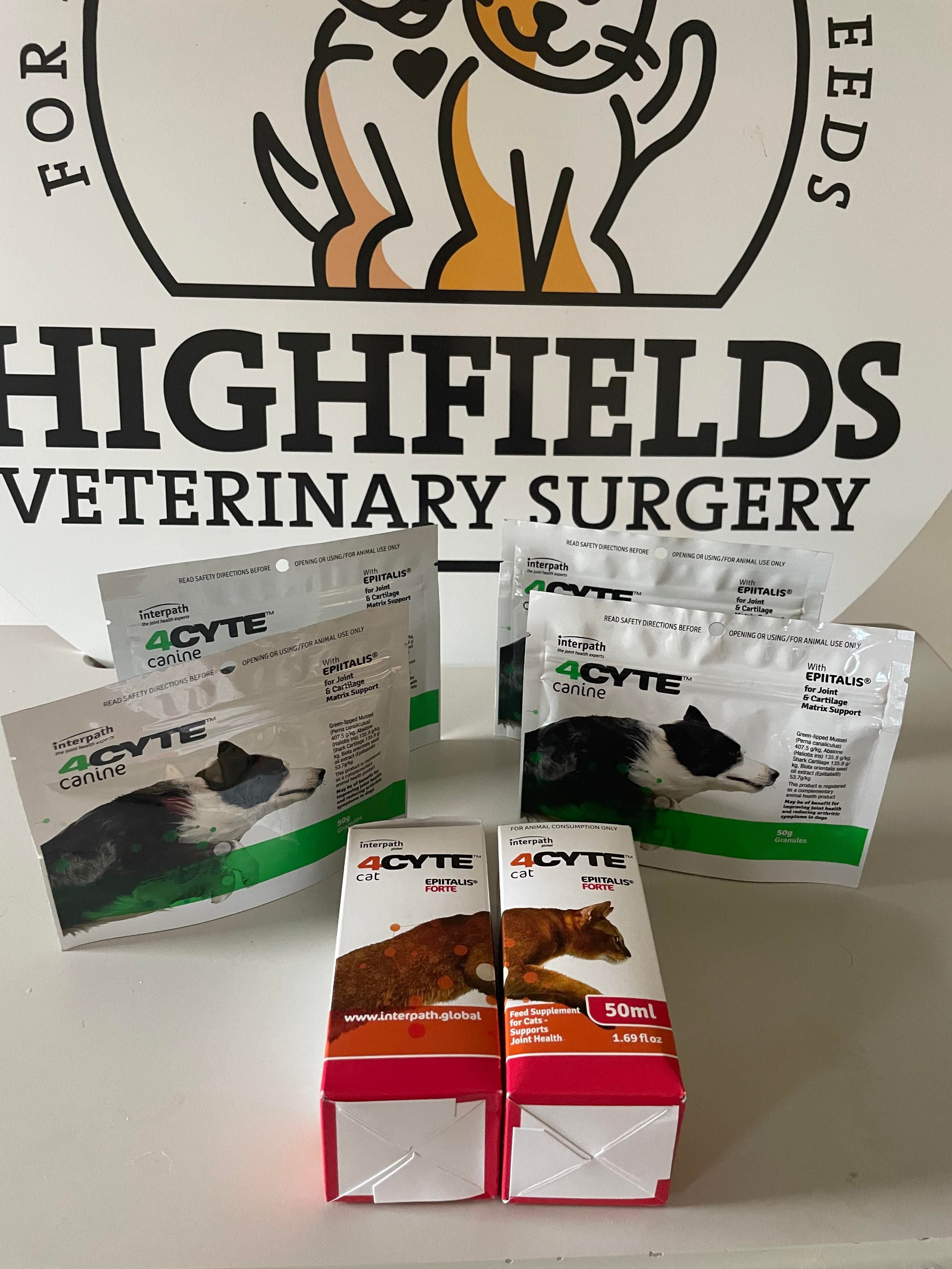 Why 4Cyte Is Essential for Your Aging Pet's Health