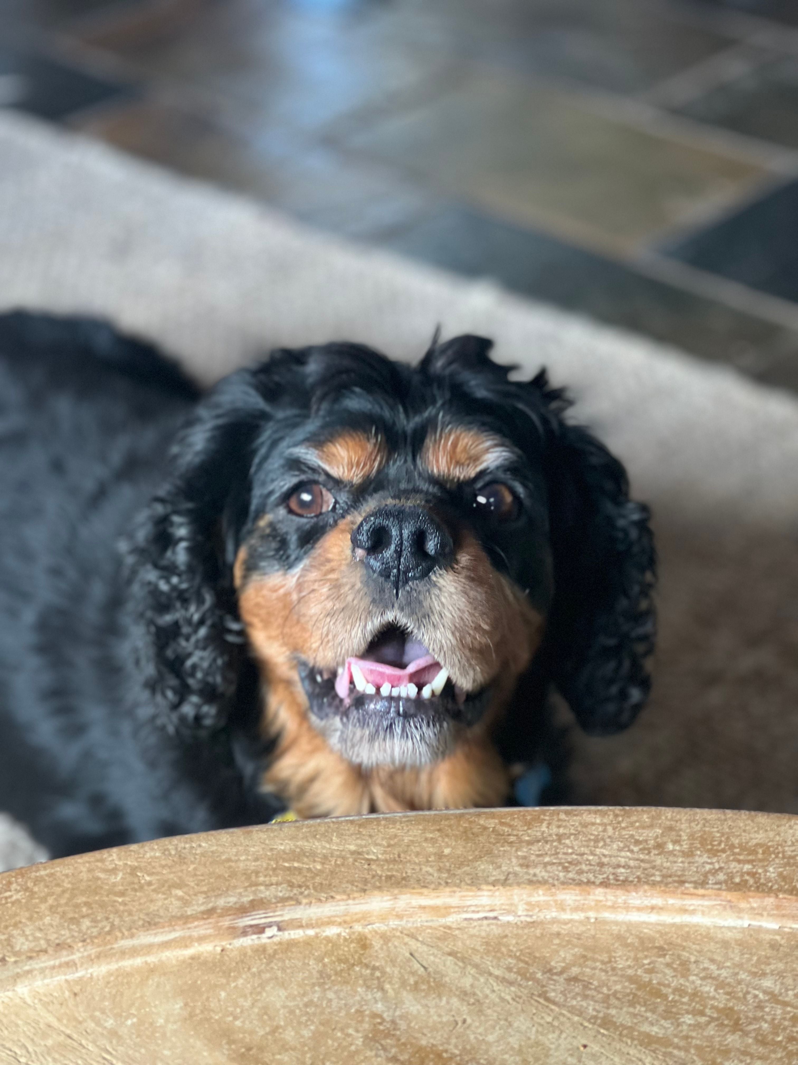 The Importance of a Re-Check