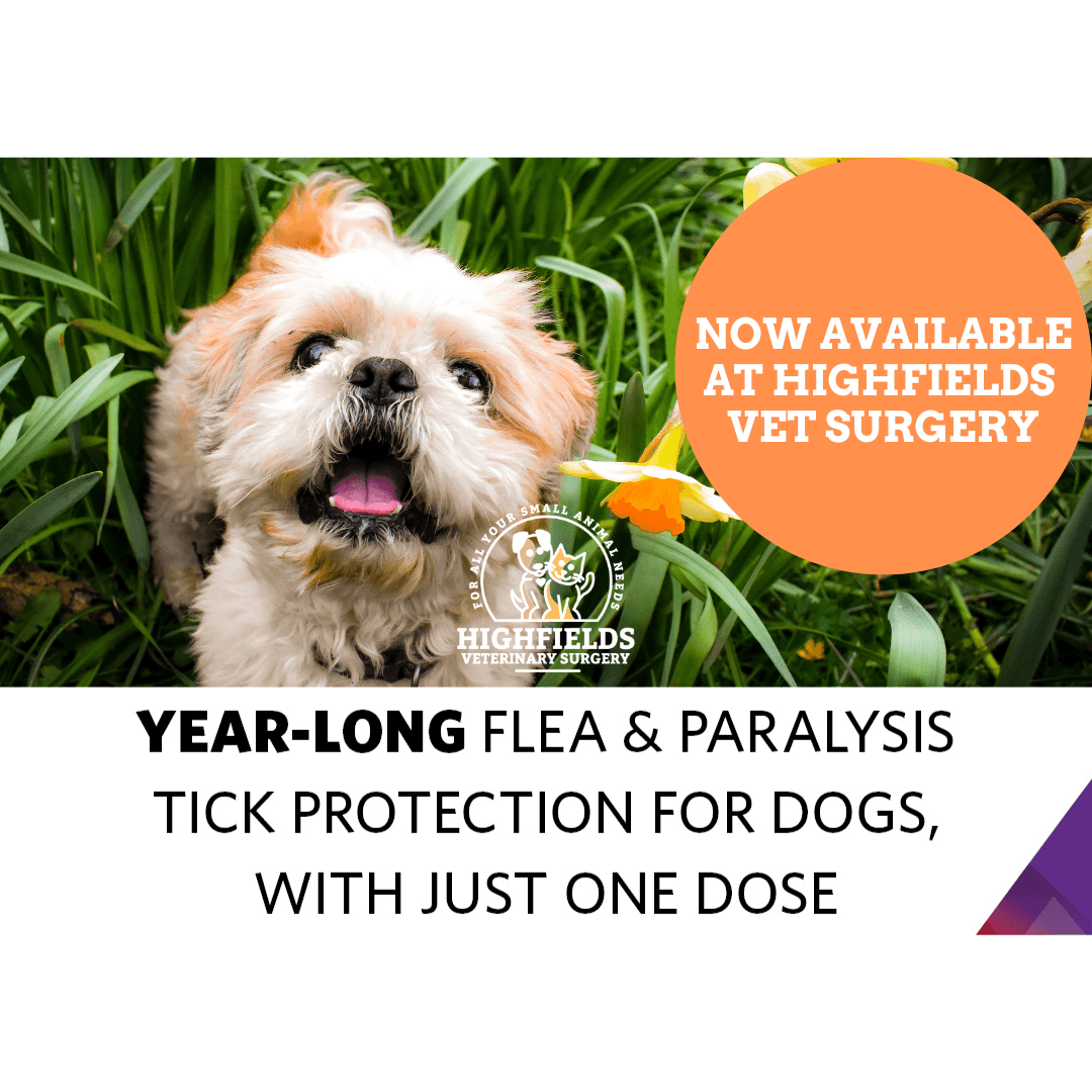 The Convenience of Yearly Injections vs. Monthly Doses for T