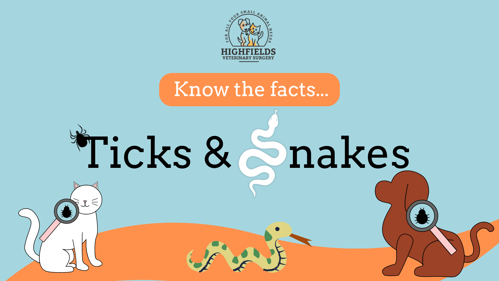 Understanding Ticks & Snakes: The Risks and Prevention Understanding Ticks & Snakes: The Risks and Prevention