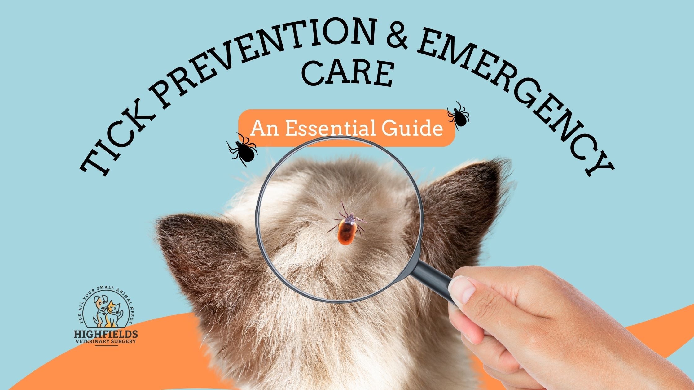 Essential Guide to Tick Prevention and Emergency Care