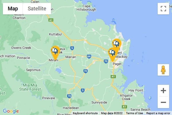 Veterinary Surgeons | Ooralea, North Mackay, Mirani Clinics