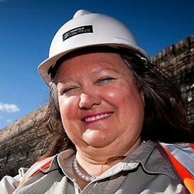 RINEHART OFFERS $365 MILLION FOR KIDMAN AND CO