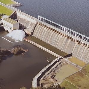 BAF shows signs of recovery post-Blue Sky uncoupling