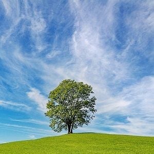 BAF one step closer to exit from Blue Sky management after long delays