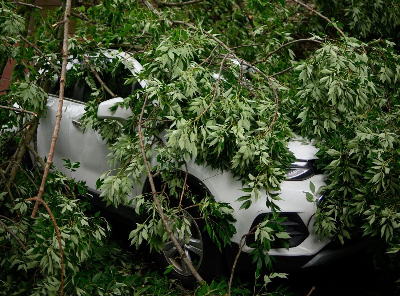 CBA to sell CommInsure General Insurance for $625 million