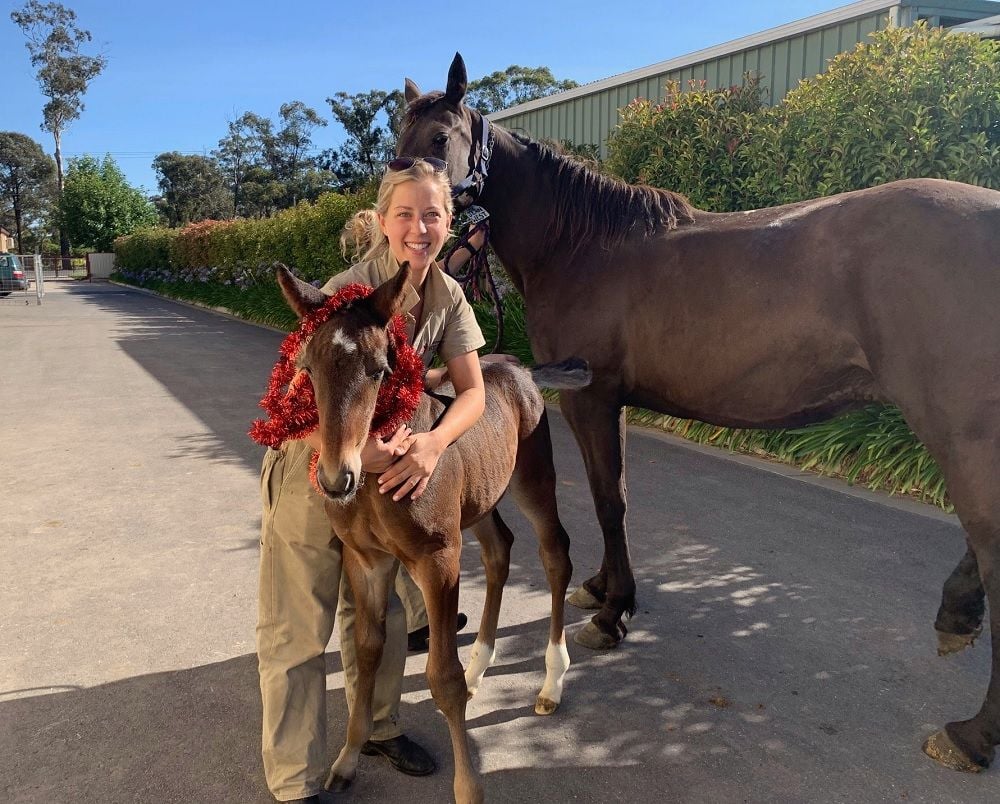 Bendigo-based Apiam Animal Health saddles up with $13.8m acquisitions