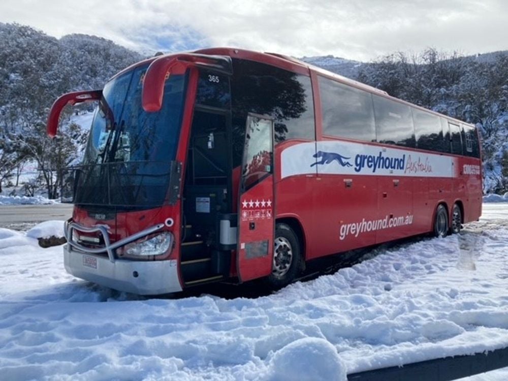 NZ's Entrada Travel Group snares Greyhound Australia