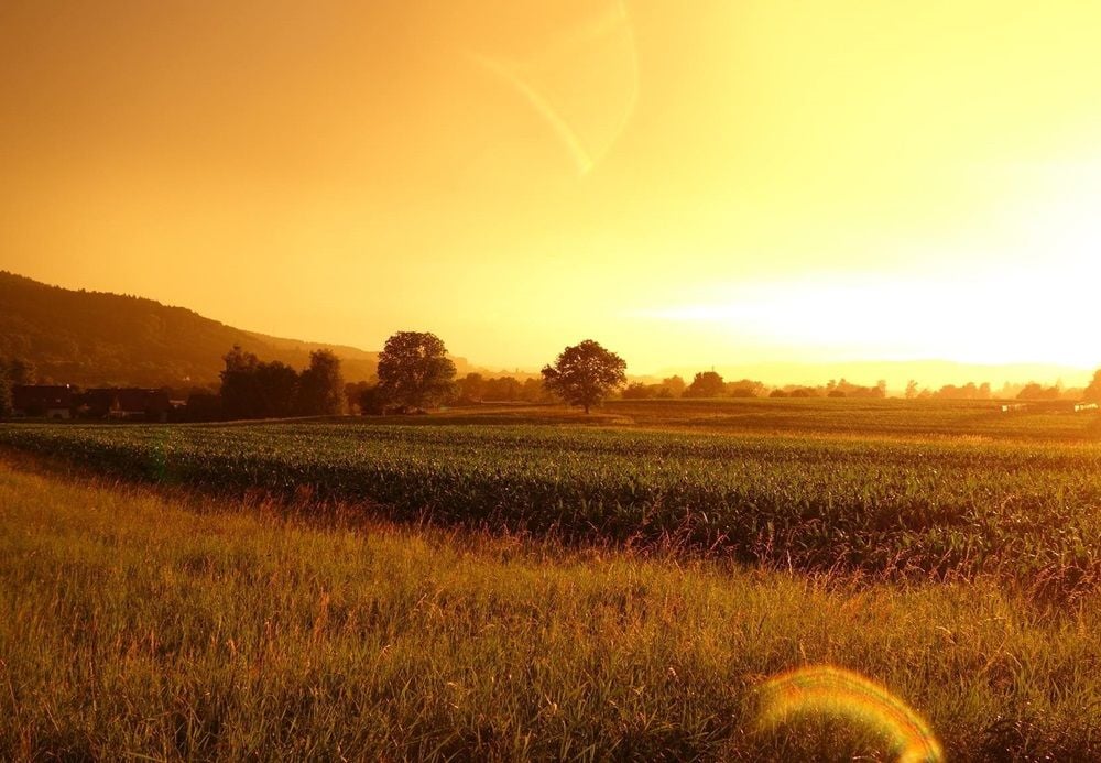 Activated carbon startup Bygen secures $2.6m in Series A