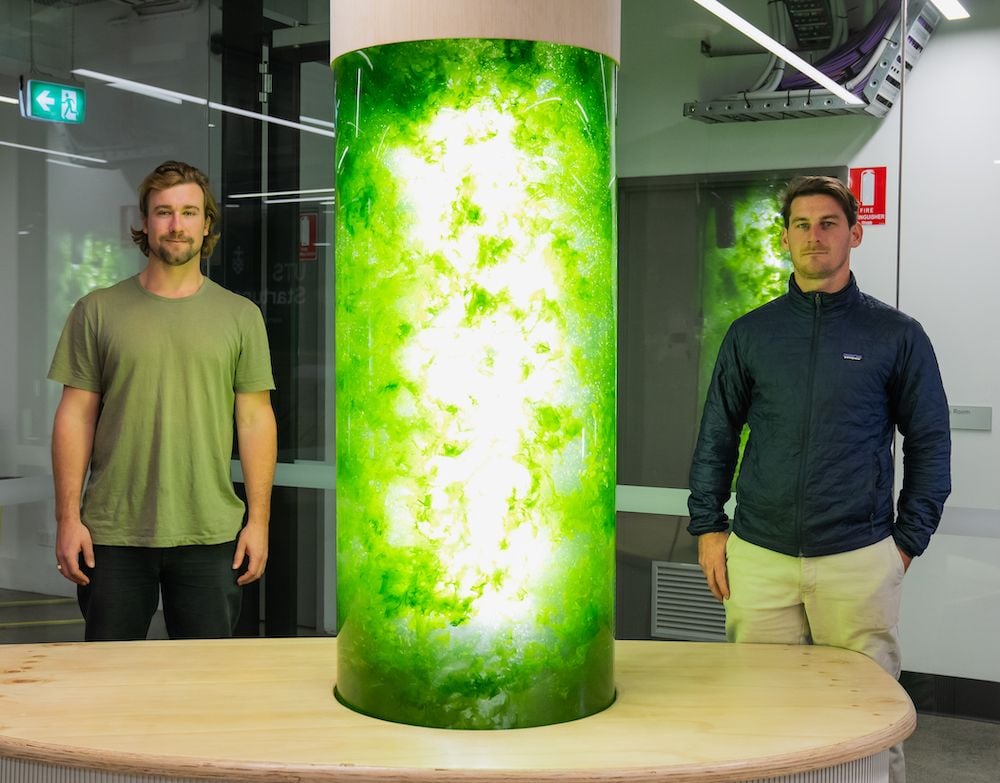 NSW algae biotech accelerator welcomes new innovators