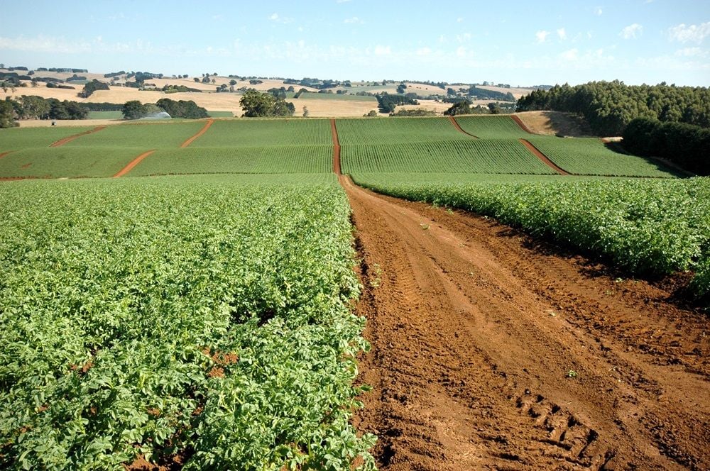 Owner of Houston's Farm, Sunfresh acquired by PMFresh