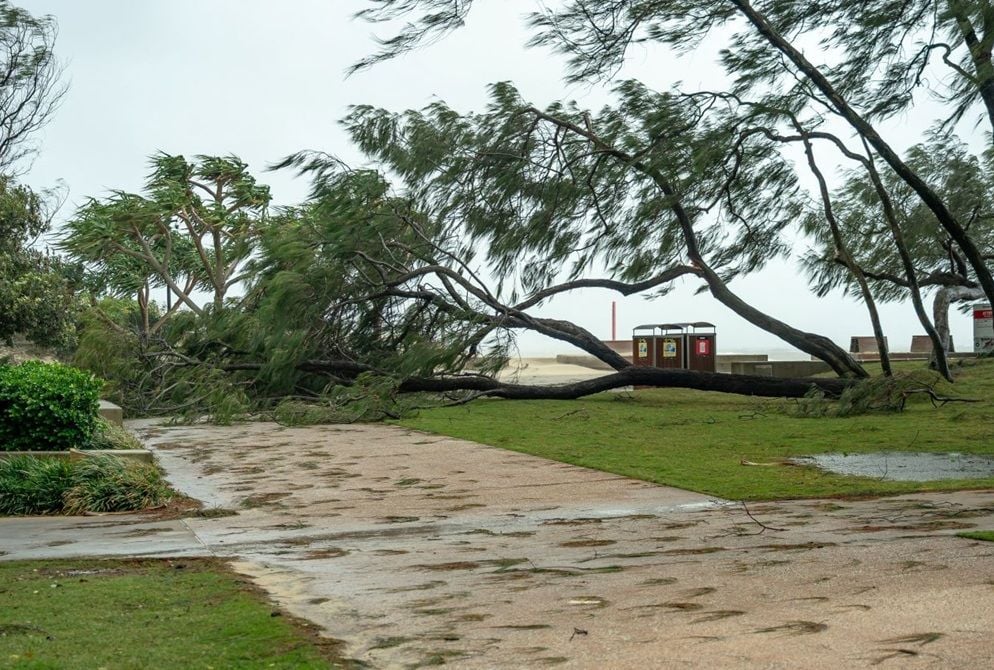 Insurers receive 22,000 claims after cyclone