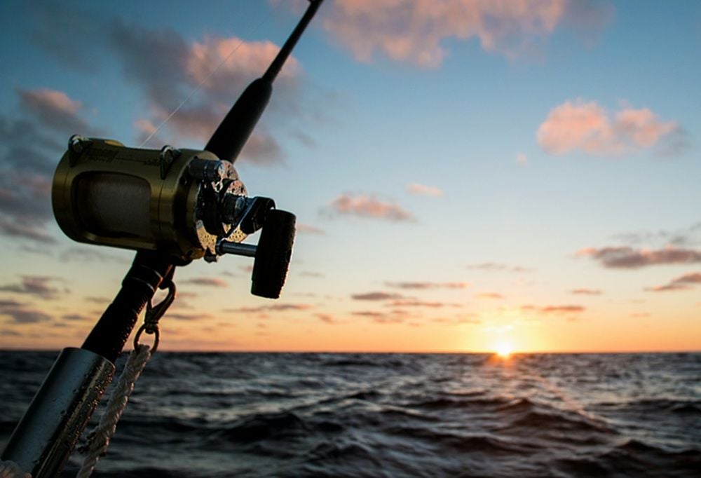 Double-digit growth at BCF boosts Super Retail's momentum