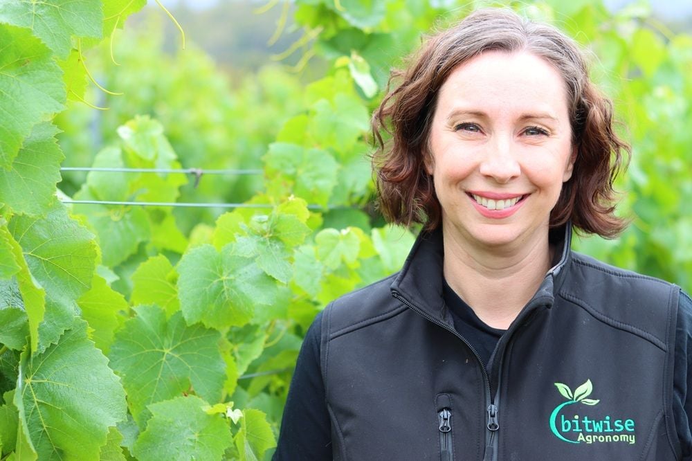 Bitwise Agronomy raises $1m for AI berry crop forecast tech