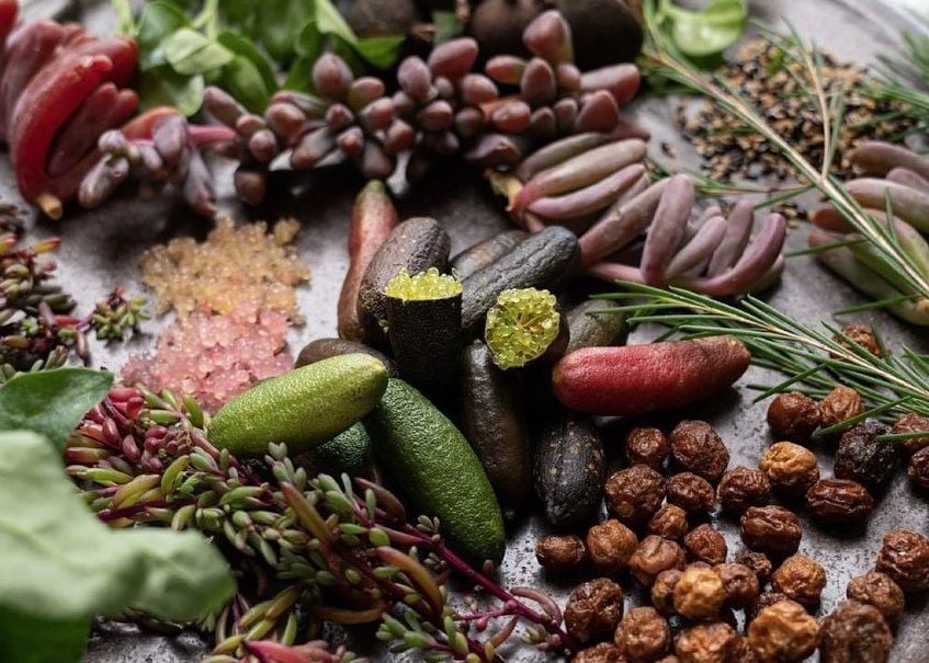 Cooee Foods Australia buys Creative Native Foods