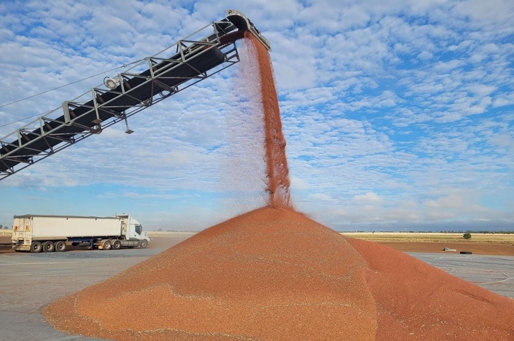 GrainCorp to offload struggling JV GrainsConnect Canada