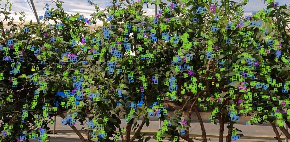 Bitwise Agronomy raises $1m for AI berry crop forecast tech