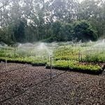 Total Water Services - Total Water Services - Water Pumps in Brisbane