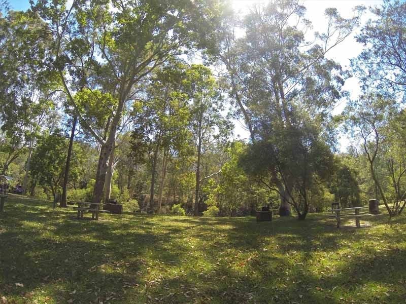 Peach Trees, Jimna SF, North of Brisbane