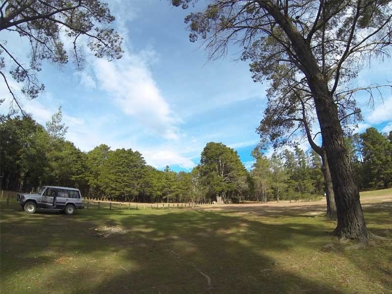 Daleys Clearing, Belanglo State Forest