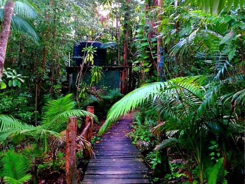 Platypus Bush Camp, Finch Hatton Gorge
