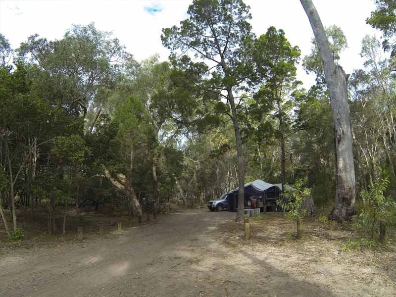 Burrum Point Campground, Burrum Coast National Park, Woodgate