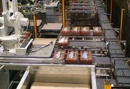 Case & Box Handling Conveying Systems