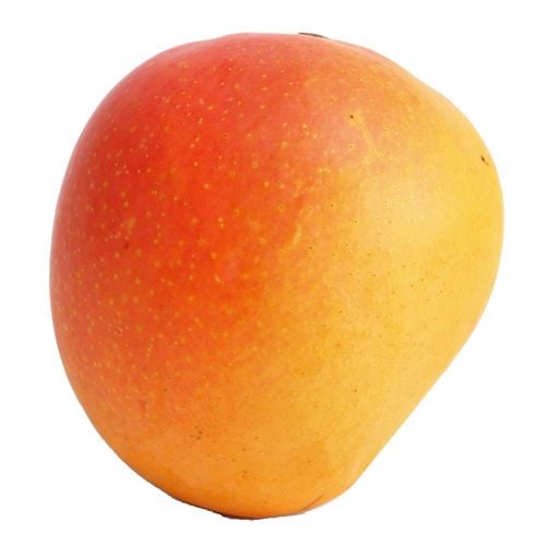 Sandy Cove Mango Plantation | R2E2